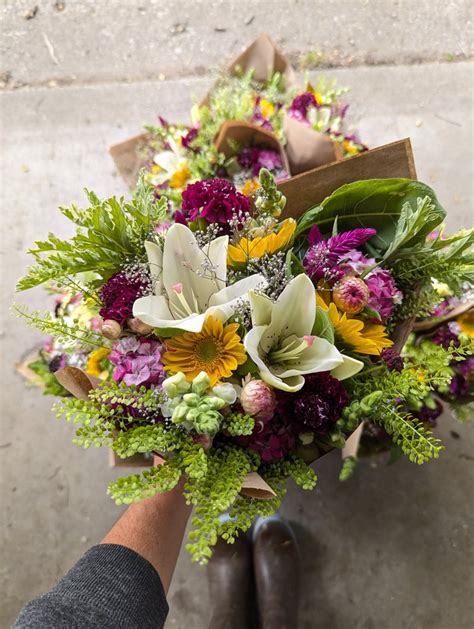 How To Grow Peppergrass — Three Acre Farm How To Grow Peppergrass — Three Acre Farm