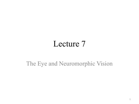 Neuromorphic Vision