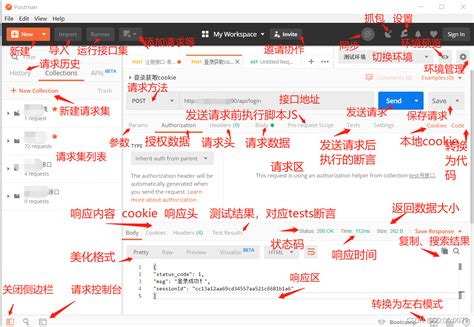 postman接口测试 postman 显示二进制图片 csdn博客