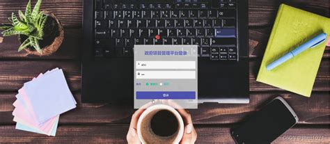 计算机毕设node js vue政府项目管理平台（程序 lw 部署）