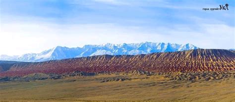 Бигэр сумын зар мэдээ Говь Алтай аймаг