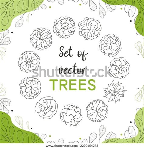 Tree Architectural Floor Plans Entourage Design Stock Vector Royalty Free 2270154273