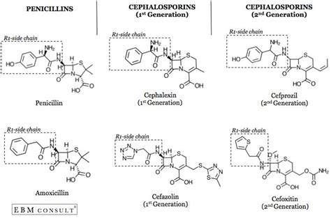Cross Reactivity Of Beta Lactam Antibiotics