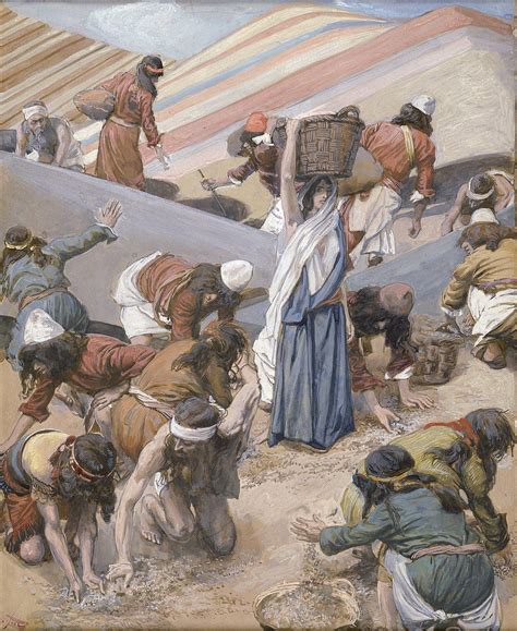 Manna Wikipedia The Great Multitude Manna And Quail In The Bible