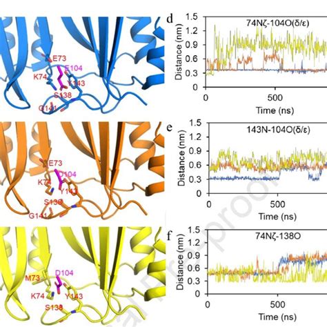 The Dynamics Of The Interface Bonding Network In The Complexes Of A Download Scientific