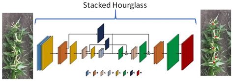 Advancing Tassel Detection And Counting Annotation And Algorithms