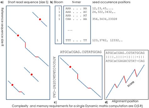 Optimal Alignment Search Optimization Schema A Dynamic Programming Download Scientific