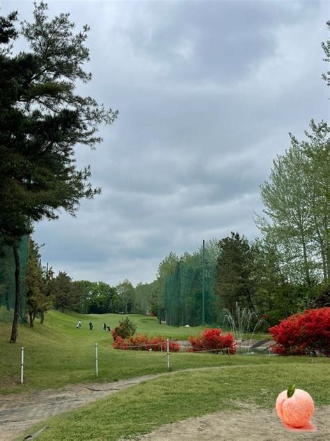 광주 근교 가성비 파쓰리 파3 금과 골프장 가격 홀별 거리 공략법 완벽 분석 네이버 블로그