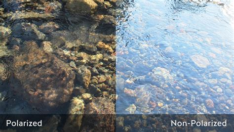 What Are Polarized Sunglasses Benefits Uses And Limitations Revant