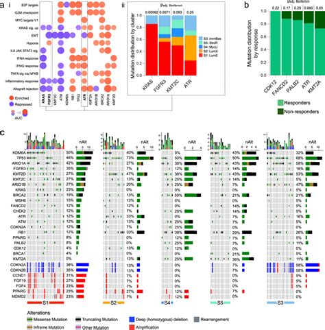 Somatic Mutations And Copy Number Alterations In Cpi Mibc Pure 01 Download Scientific Diagram