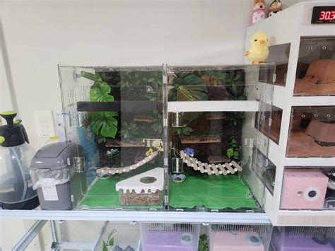 도마뱀아크릴사육장 당근 중고거래