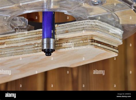 Flush Trim Router Bit Double Bearing At Arlene Ramirez Blog