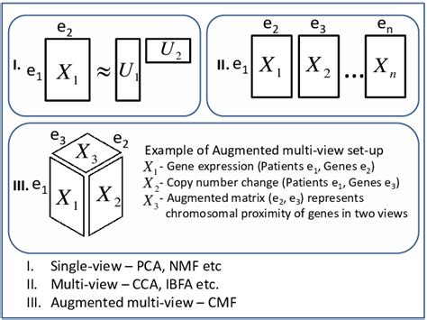 Examples Of Matrix Factorization Setups Download Scientific Diagram