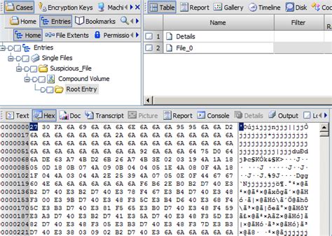 Computer Forensics Malware Analysis Digital Investigations Answers To Forensic Puzzle