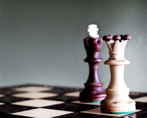 python vs r — battle of the best data science tools by springboard