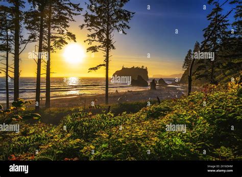 Colorful Sunset At Ruby Beach In Olympic National Park Washington