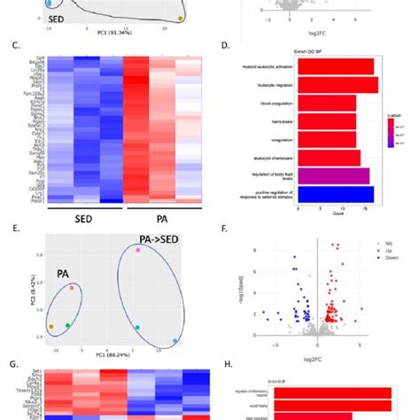 physical activity modulates gene expression in hscs a principal