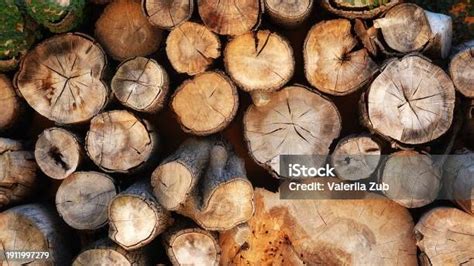 Sawn 통나무 배경의 스택입니다 클립 아트 사진입니다 천연 나무 벽지 0명에 대한 스톡 사진 및 기타 이미지 0명 갈색 거친 Istock