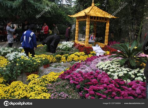Visitors Look Golden Pavilion Made Corn Sticks Flower Show Jinan — Stock Editorial Photo