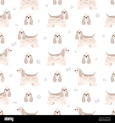 American Cocker Spaniel Seamless Pattern Vector Illustration Stock Vector Image And Art Alamy