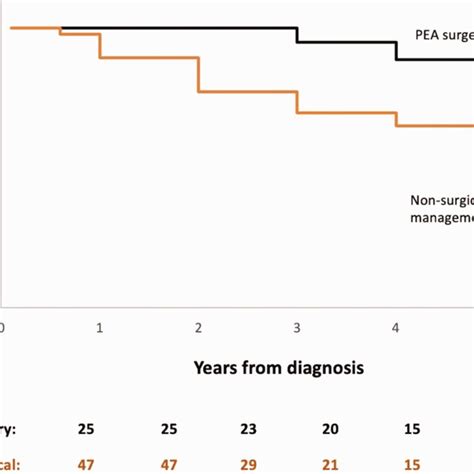 Kaplan Meier Graph Displaying The Cumulative Survival Of Patients Download Scientific Diagram
