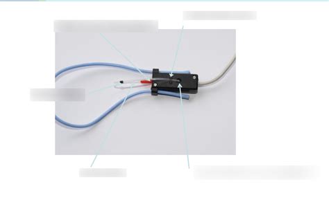 Axiom 2 Diagram Quizlet