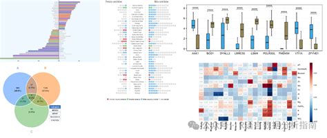 Ggplot2优雅绘制环状相关性热图 完美解决文本添加 腾讯云开发者社区 腾讯云