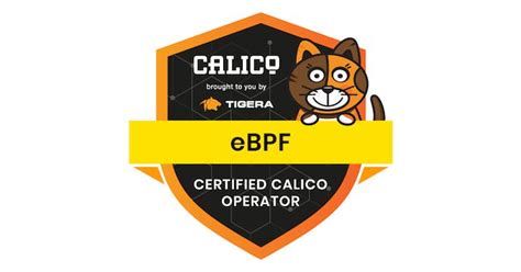 steven r on linkedin certified calico operator ebpf was issued by