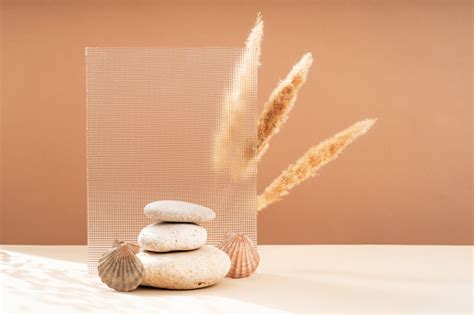 전시회 및 제품 프레젠테이션을 위한 연단 재료 돌 나무 유리 마른 가지 천연 소재로 만든 아름 다운 베이지 색 배경입니다 구도가