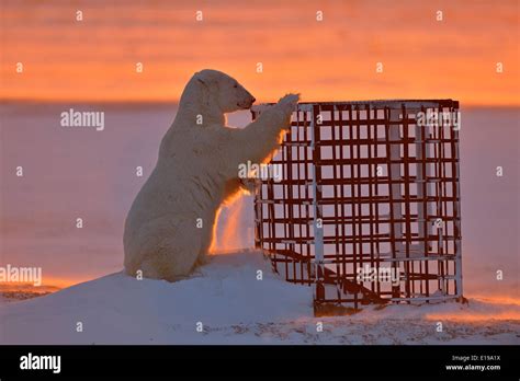 Man Made Solid Structures