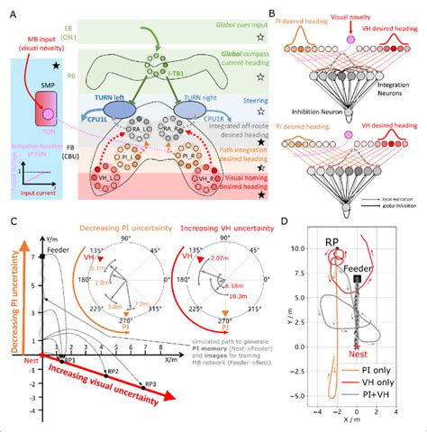Optimal Cue Integration In The Cx A Proposed Model For Optimally