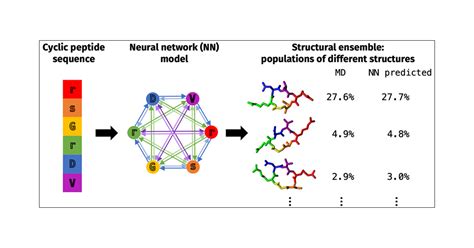 Training Neural Network Models Using Molecular Dynamics Simulation