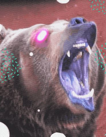 Angry Bear 