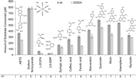 Substrate Selectivity Of Small Laccase Slac Substrate Oxidation By Download Scientific