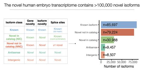 Innovations Abound At Iso Seq Social Club 3 Pacbio