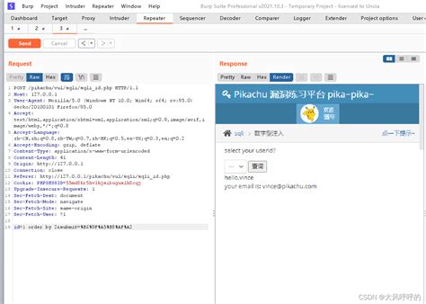 什么是sql注入漏洞，sql注入漏洞的流程 Csdn博客