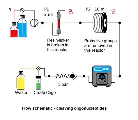 Enhancing The Cleavage Of Oligonucleotides Vapourtec