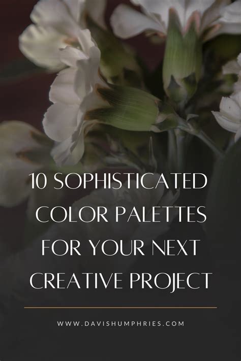 10 Sophisticated Color Palettes For Your Next Creative Project With Hex Codes — Davis