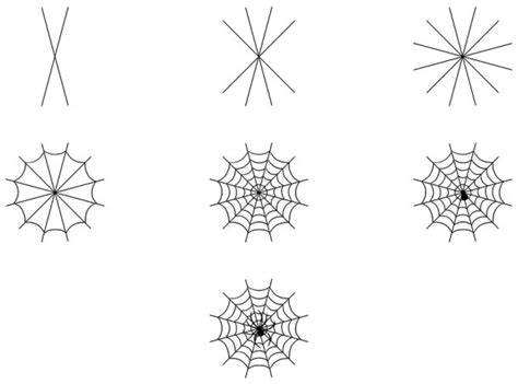 How To Draw A Spider Web Nature S Architecture