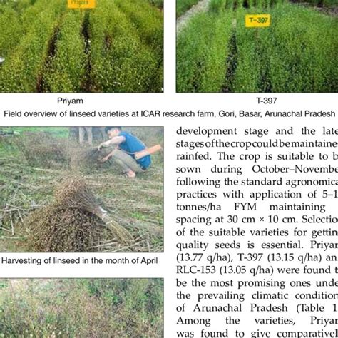 Suitable Linseed Varieties For Eastern Himalayas Arunachal Pradesh