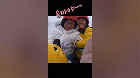 하이원리조트 스노우월드 래프팅썰매 가족썰매 눈썰매 하이원눈썰매장 강원도눈썰매 강원도스키장 Youtube