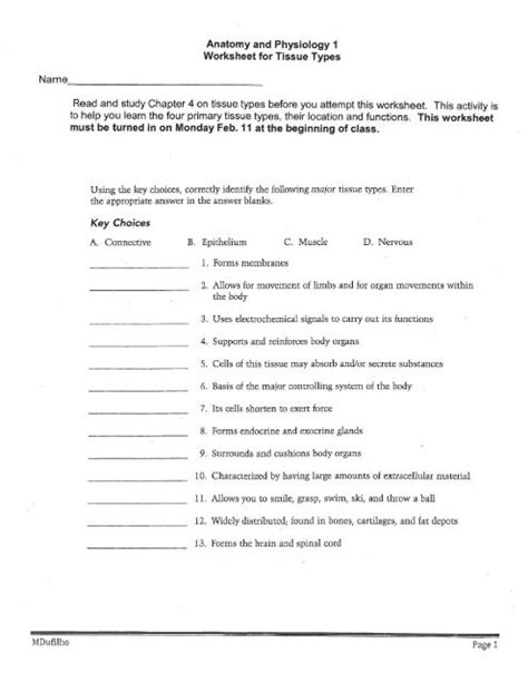 Anatomy And Physiology 1 Worksheet For Tissue Types Answer Key