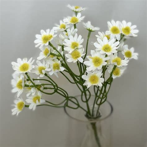 Mini Daisy Bunch White Village Green