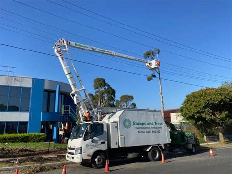 Tree Stump Removal Melbourne Expert Arborists Horticulturists Stumps And Trees
