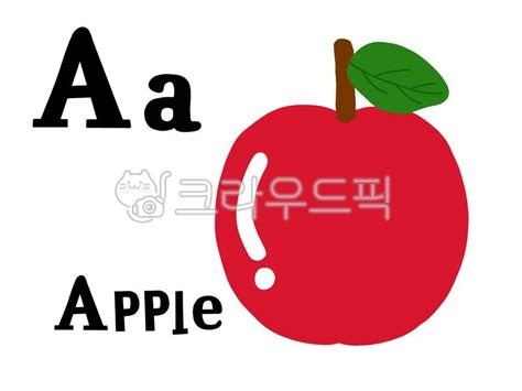 abc abc카드 영어카드 알파벳카드 알파벳 사진 이미지 일러스트 캘리그라피 jhsarah작가