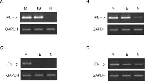 Table 1 From Comparison Of Mycobacterium Tuberculosis Specific Antigen