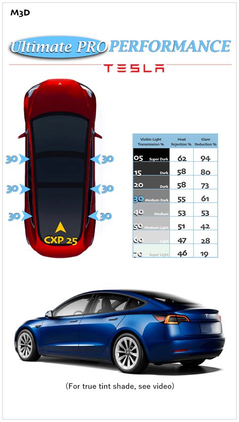 Tesla Model 3 Tint Examples