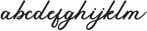 rapidly otf 400 font script elegant what font is