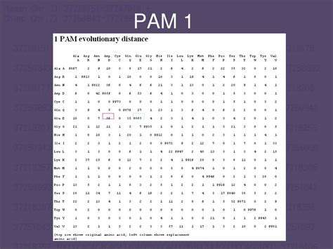 Ppt Pairwise Sequence Alignment Powerpoint Presentation Free Download Id 4642944