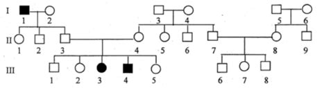 Genetics Review Flashcards Quizlet